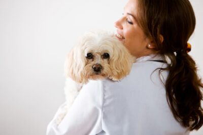 All About Dog Depression | Great Pet Care