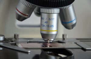 Heartworm in Dogs | Great Pet Care