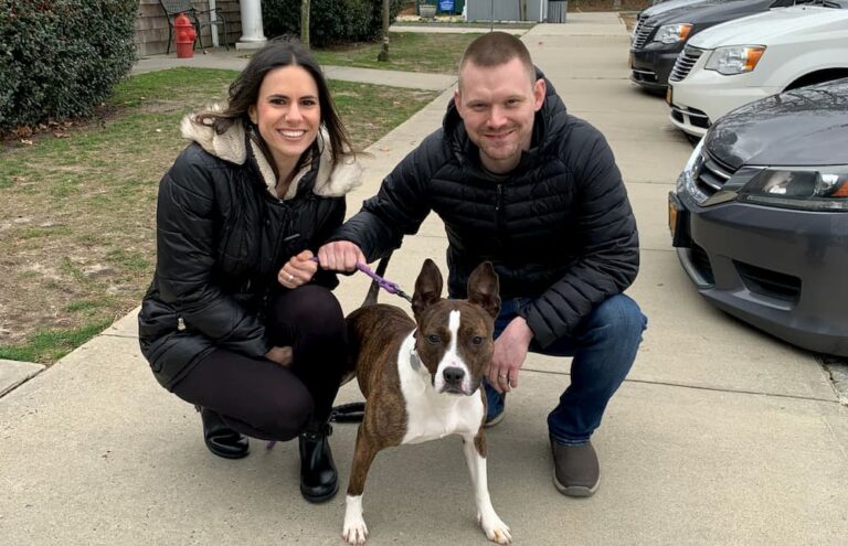 How to Foster a Pet: Everything You Need to Get Started | Great Pet Care