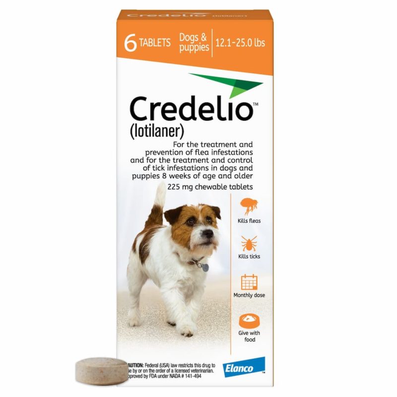 Tapeworms in Dogs | Great Pet Care