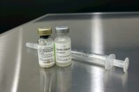 FVRCP Vaccine for Cats | Great Pet Care