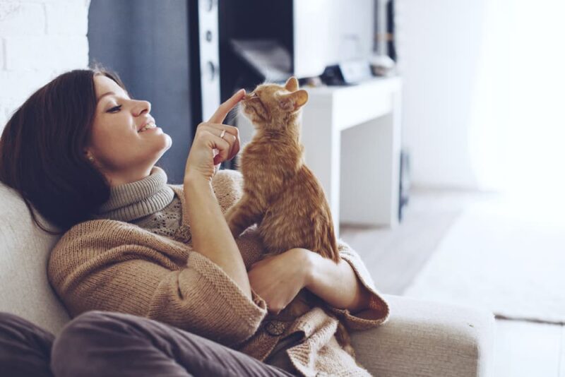 6 Easy Ways to Bond with Your Cat at Home | Great Pet Care