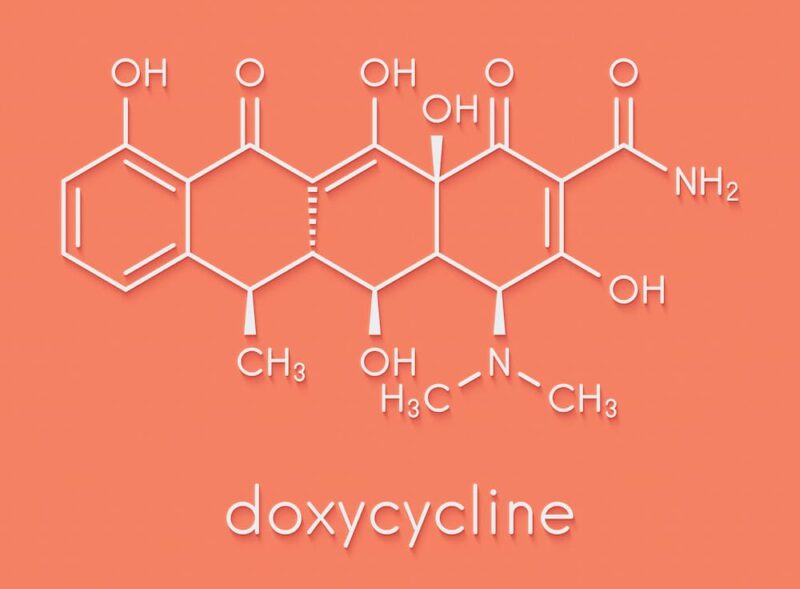 Doxycycline for Cats | Great Pet Care