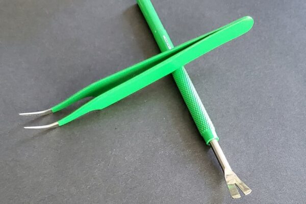 5 Tick Removal Tools (and How to Use Them) | Great Pet Care