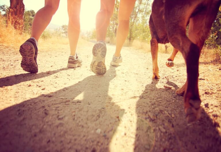 6 Ways to Stay Safe While Walking Your Dog