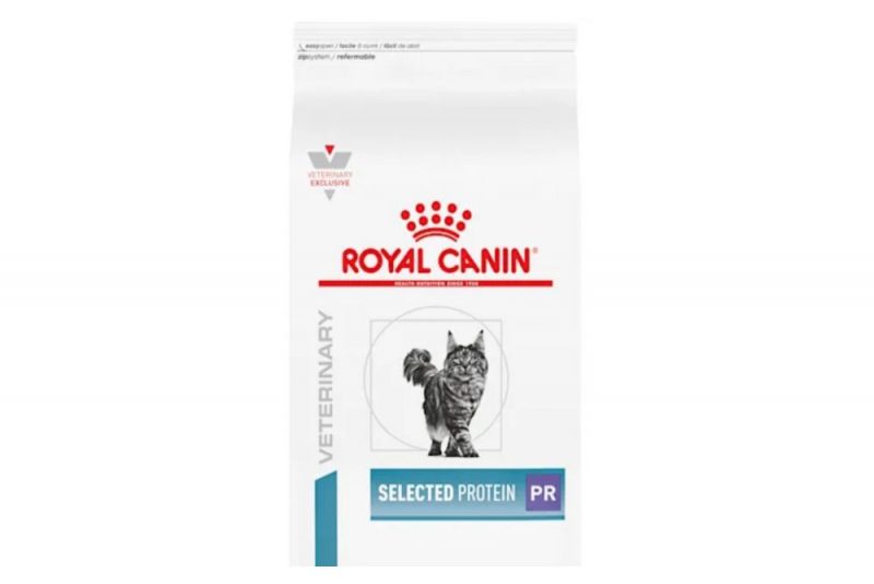 Limited Ingredient Cat Food: 6 Vet-Approved Picks | Great Pet Care
