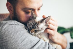 The Right Way to Pick Up a Cat: Step by Step | Great Pet Care