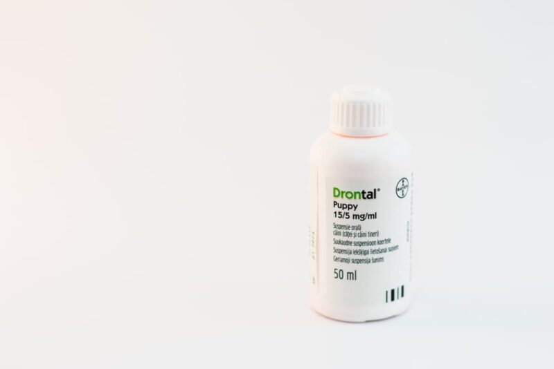 Praziquantel for Dogs | Great Pet Care