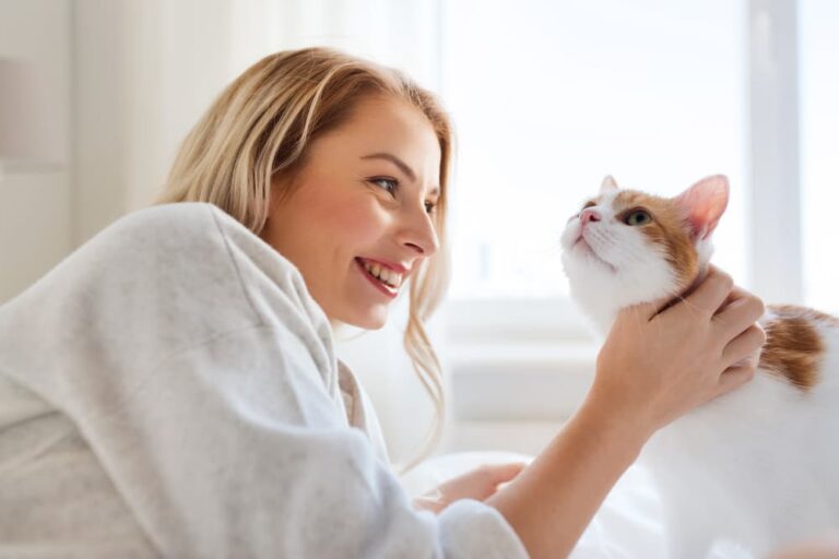 Feline Leukemia Vaccine (FeLV) for Cats | Great Pet Care