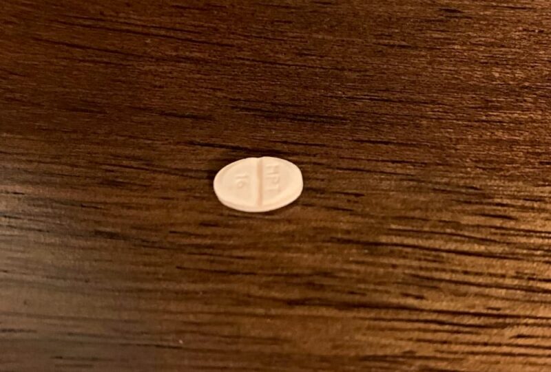 Cerenia for Cats | Great Pet Care