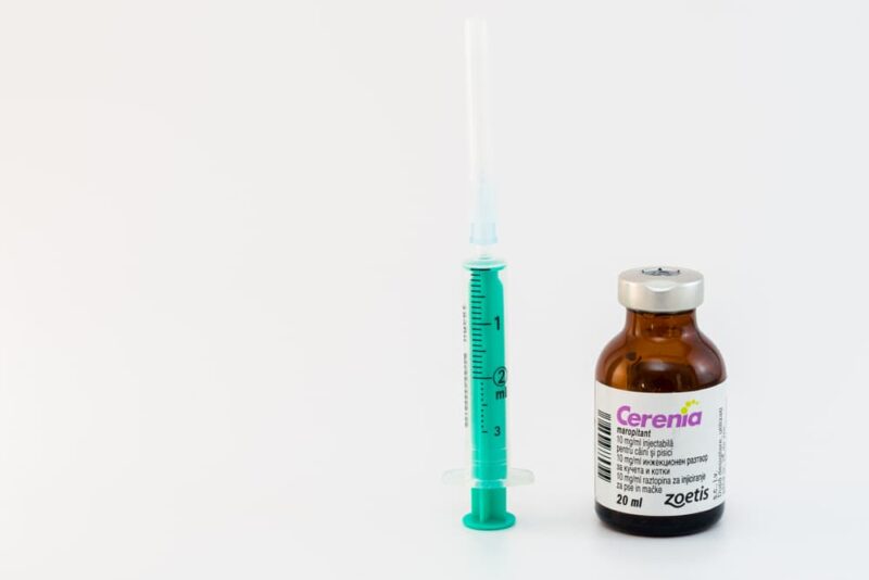 Cerenia for Cats | Great Pet Care