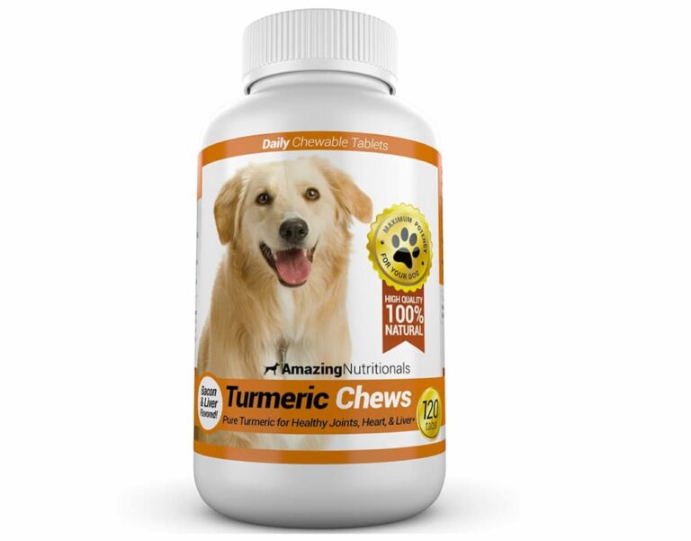 Turmeric for Dogs: Benefits and Uses | Great Pet Care