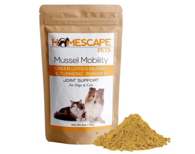 Turmeric for Dogs: Benefits and Uses | Great Pet Care