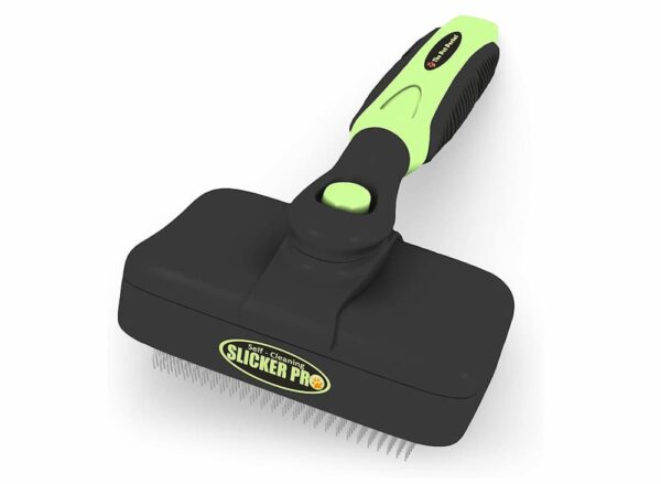 Dog Shedding: Why It Happens and When To Worry | Great Pet Care