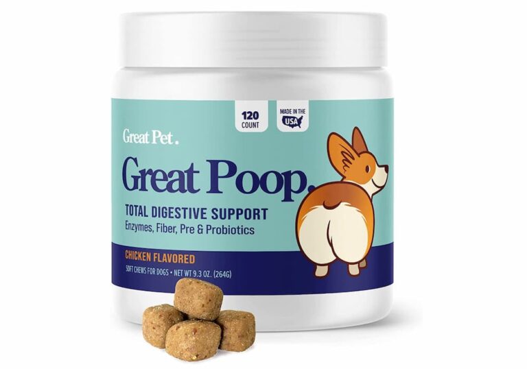 10 Great Sources of Fiber for Dogs | Great Pet Care