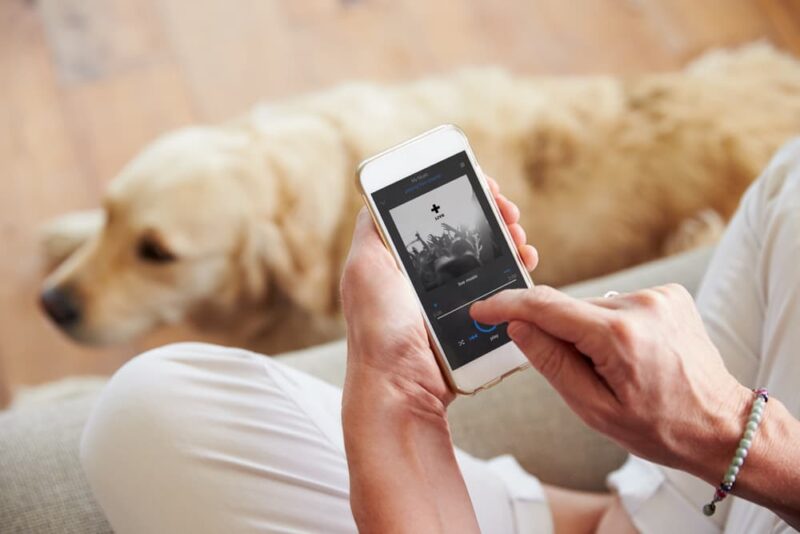 12 Noises That Freak Dogs Out | Great Pet Care