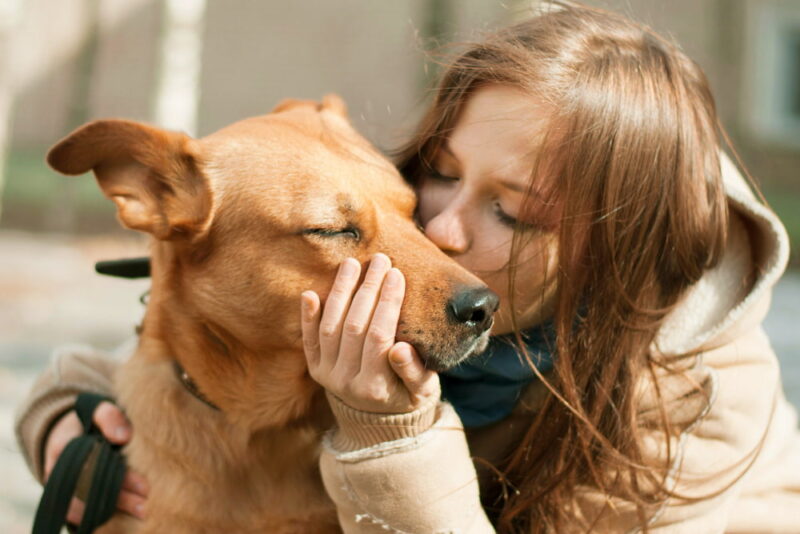 204 Red Dog Names Perfect for Ginger Pups | Great Pet Care