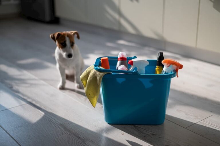 Puppy Proofing 101: Complete Guide to a Safer Home | Great Pet Care