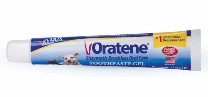 Enzymatic Toothpaste for Dogs: What it is and Products to Try | Great ...