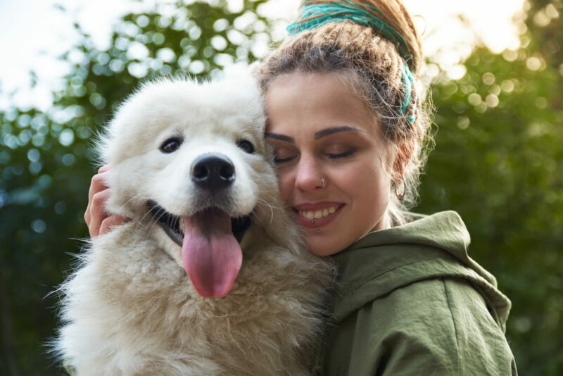 10 of the Biggest Fluffy Dog Breeds | Great Pet Care