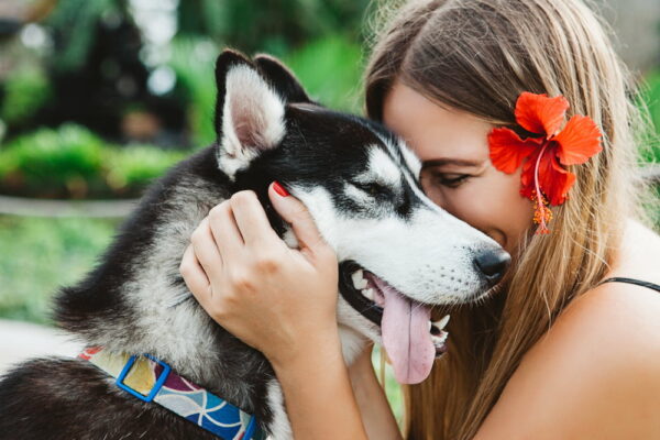 36 Hawaiian Dog Names Inspired By Island Life | Great Pet Care