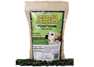 Spirulina for Dogs: Benefits and Uses | Great Pet Care