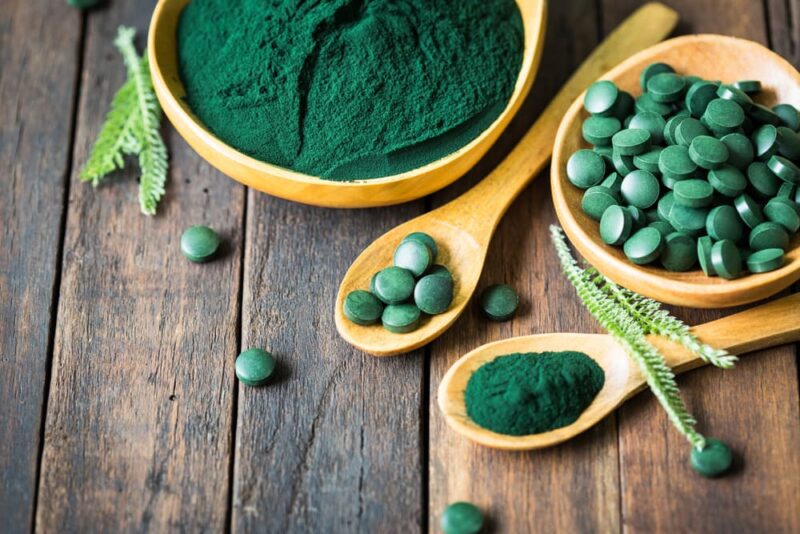 Spirulina for Dogs: Benefits and Uses | Great Pet Care