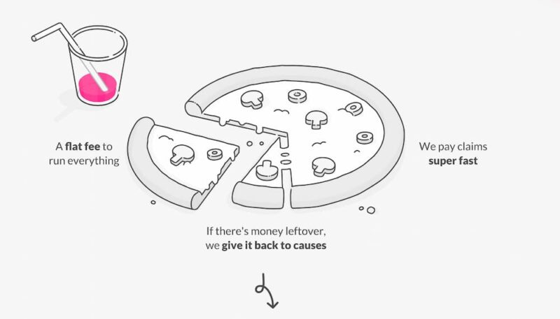 Lemonade Pet Insurance Review: How It Works and What It Covers | Great ...