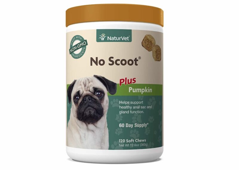 10 Great Sources of Fiber for Dogs | Great Pet Care