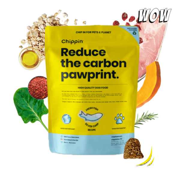 Chippin Happy Belly Giveaway | Great Pet Care