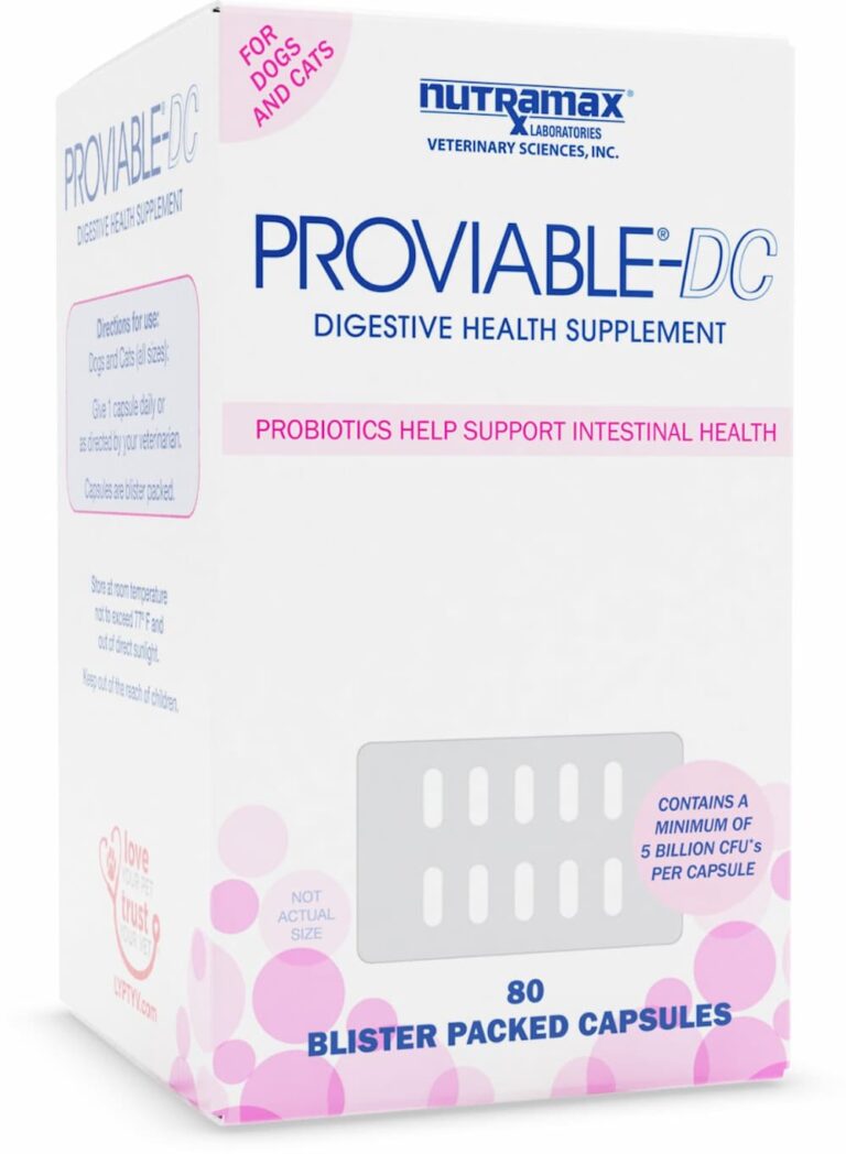 5 Best Probiotics for Dogs According to Vets | Great Pet Care