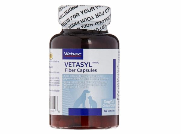 Dog Scooting: Why it Happens and How to Stop It | Great Pet Care