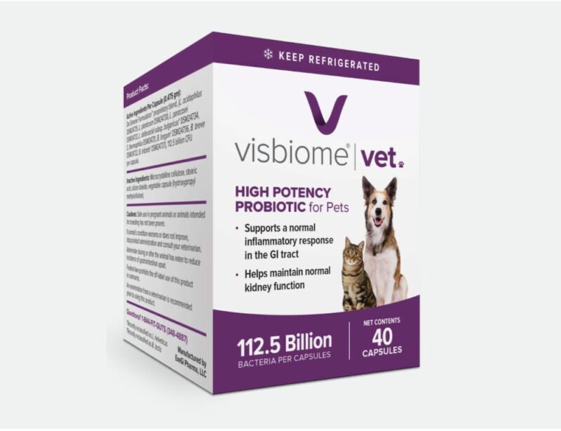 5 Best Probiotics for Dogs According to Vets | Great Pet Care