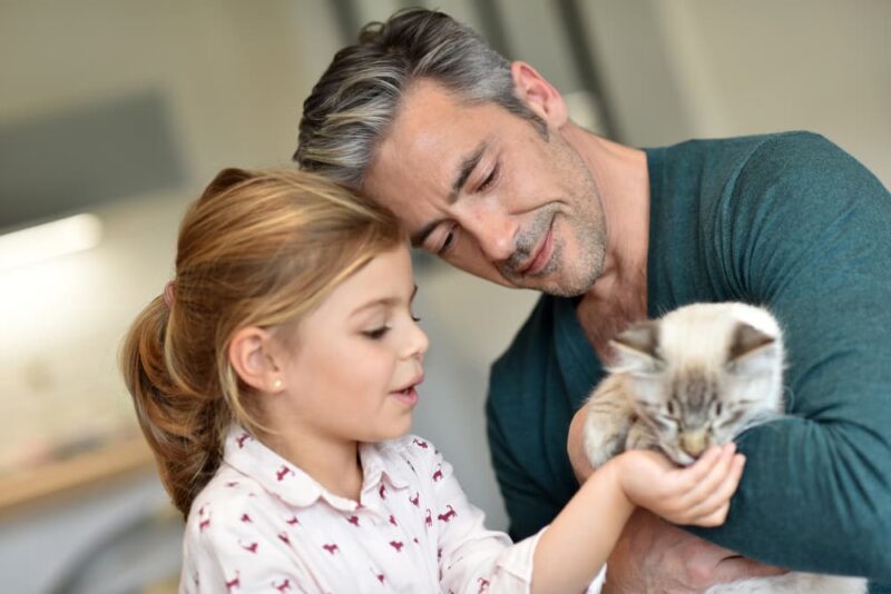 Kids and Cats: 10 Tips to Promote Bonding | Great Pet Care