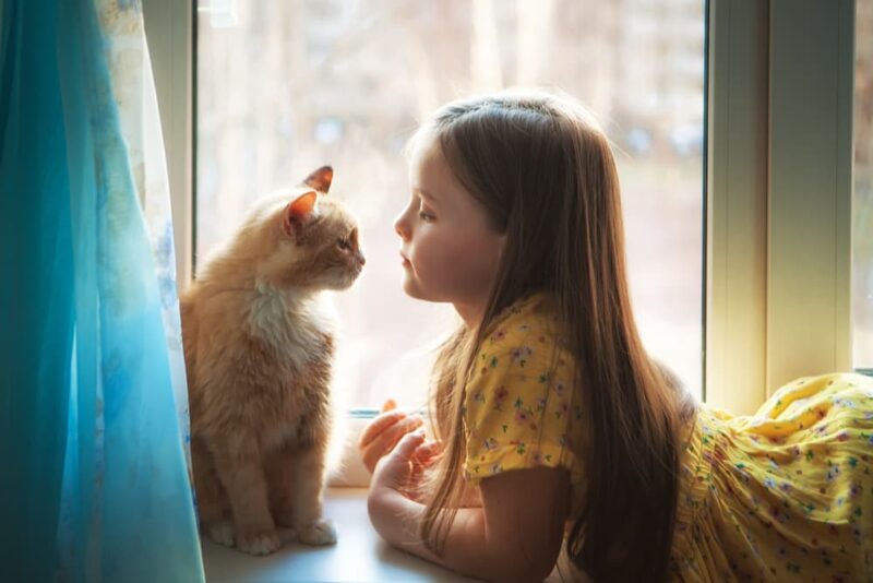 Kids and Cats: 10 Tips to Promote Bonding | Great Pet Care