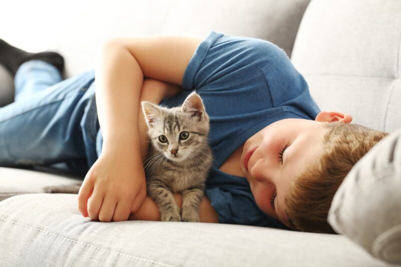 Kids and Cats: 10 Tips to Promote Bonding | Great Pet Care