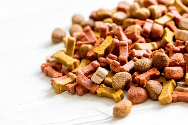 Aflatoxin in Dog Food: What You Need to Know | Great Pet Care