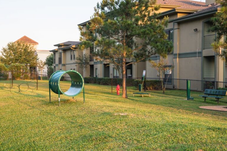 How to Find a Lost Dog: 8 Important Tips | Great Pet Care