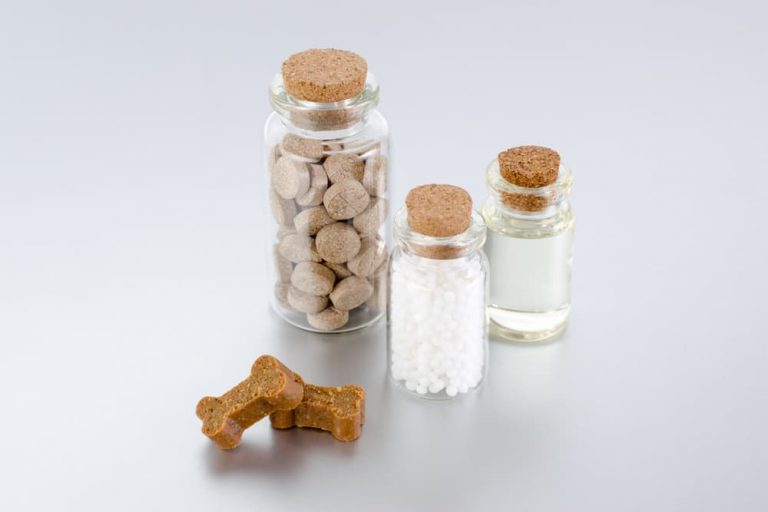 Dog Vitamins: Are They Necessary? | Great Pet Care