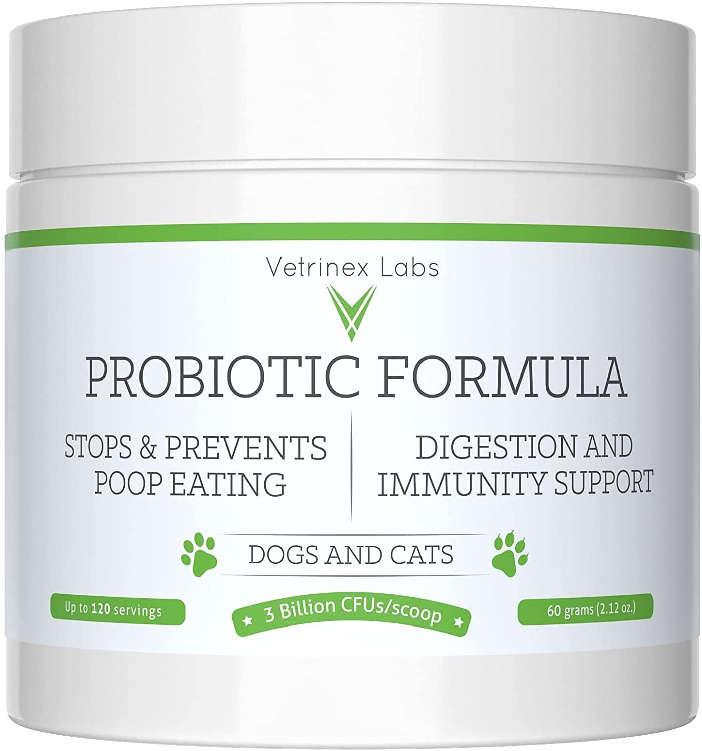 10 Best Probiotics for Dogs | Great Pet Care