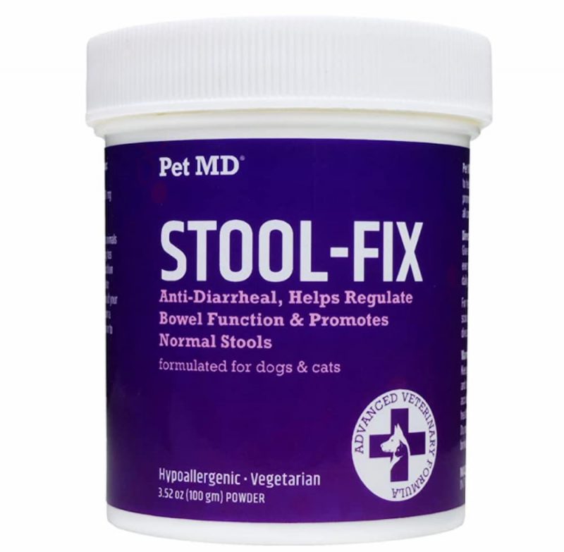 Dog Diarrhea: Causes and How to Help | Great Pet Care