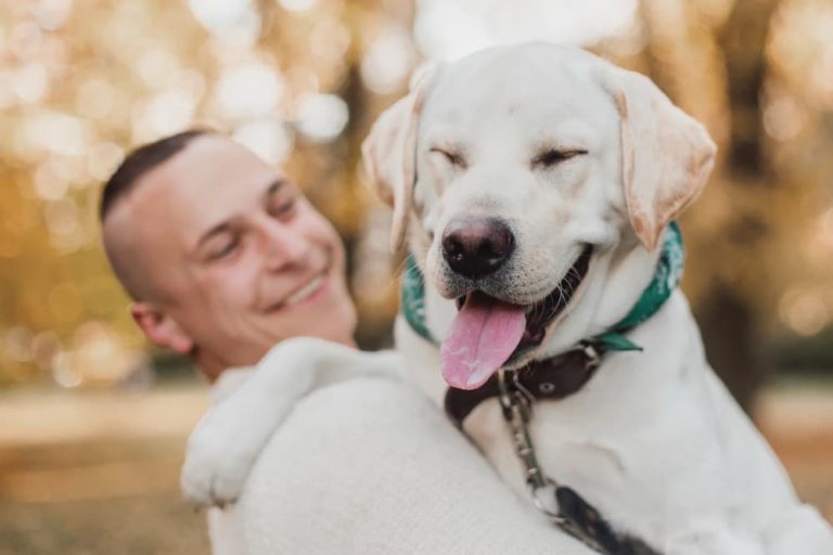 66 Big Dog Names for Larger-Than-Life Pups | Great Pet Care