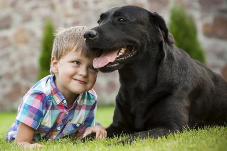 66 Big Dog Names for Larger-Than-Life Pups | Great Pet Care