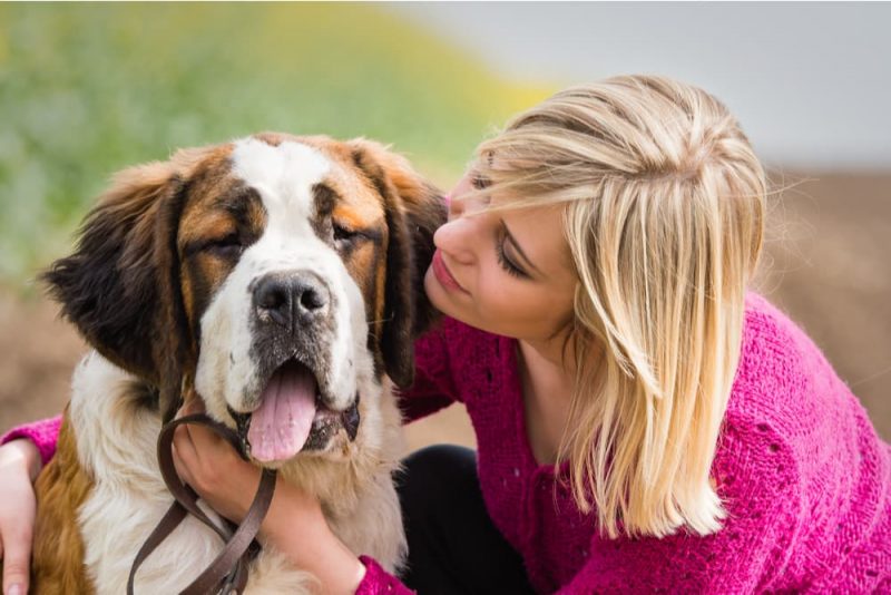 66 Big Dog Names for Larger-Than-Life Pups | Great Pet Care