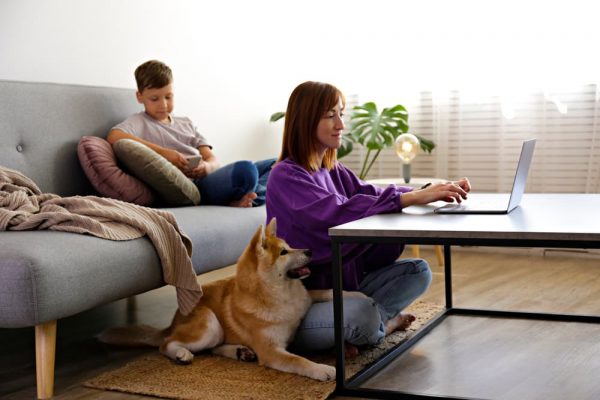 How to Keep a Dog Off the Couch | Great Pet Care