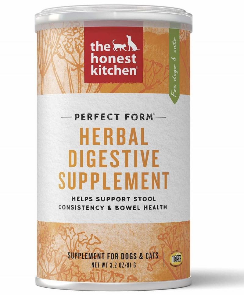 Dog Digestion: Everything You Need to Know | Great Pet Care