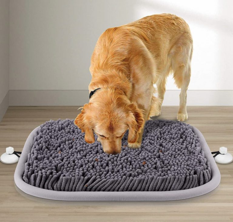 9 Signs of Loneliness in Dogs | Great Pet Care