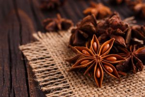 Dog Nip: What to Know About Anise for Dogs | Great Pet Care