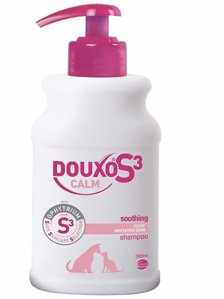 How Can I Soothe My Cat’s Itchy Skin? | Great Pet Care