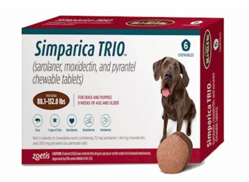 Best Flea Medicine for Dogs: Vet-Approved Options | Great Pet Care